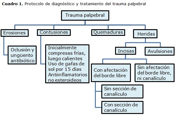 Trauma anexial, orbitario y del aparato lagrimal | Peréz Llanes ...